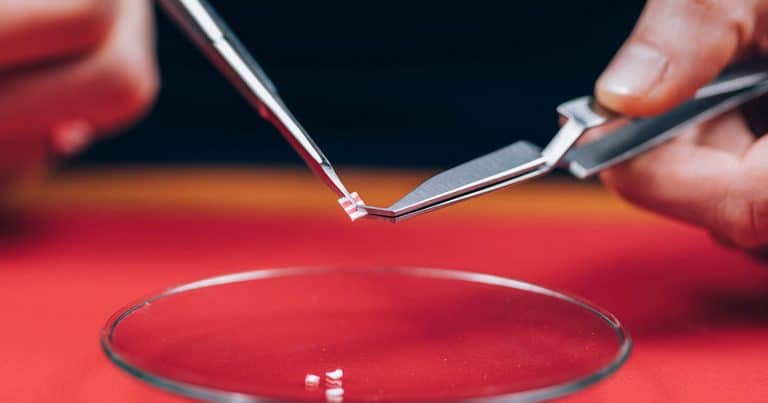 Does LSD Stay in the Spinal Fluid? - Long Island Treatment Center